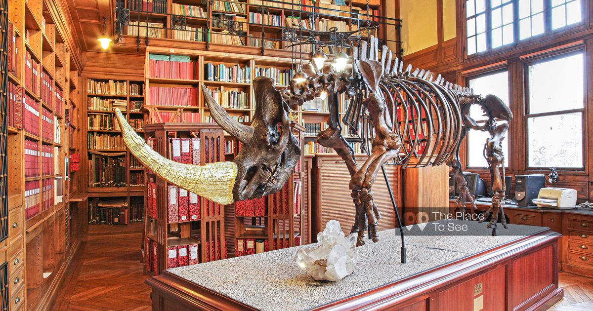 Academic library and auditorium | The place to see