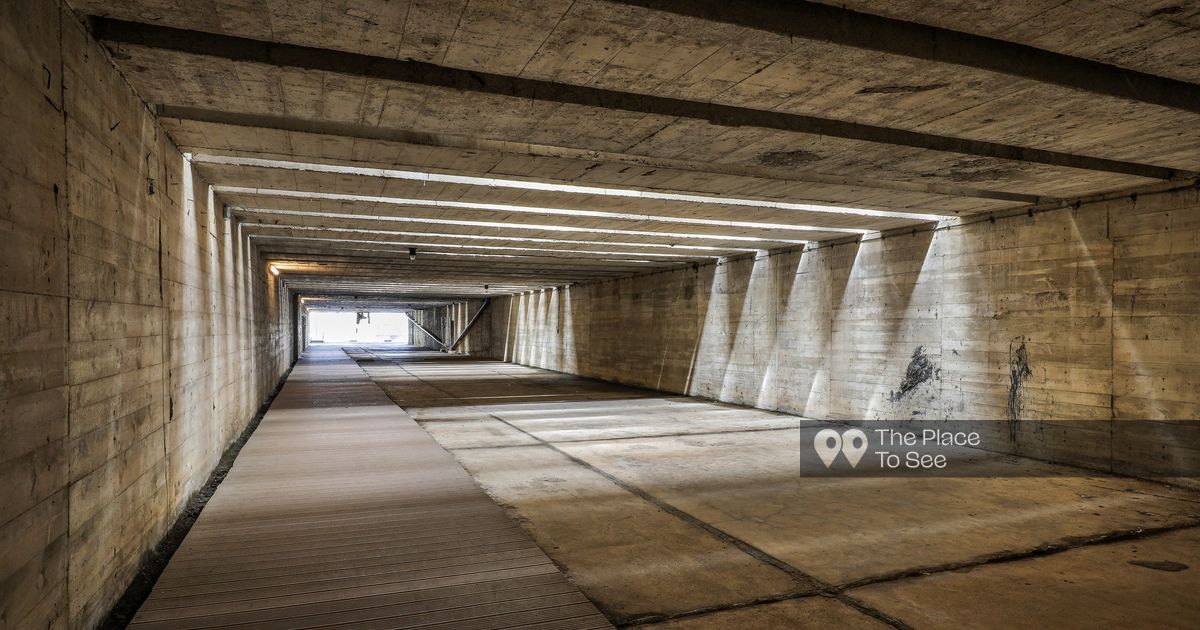 Bunker with submarine base and rooftop hub chamber | The place to see