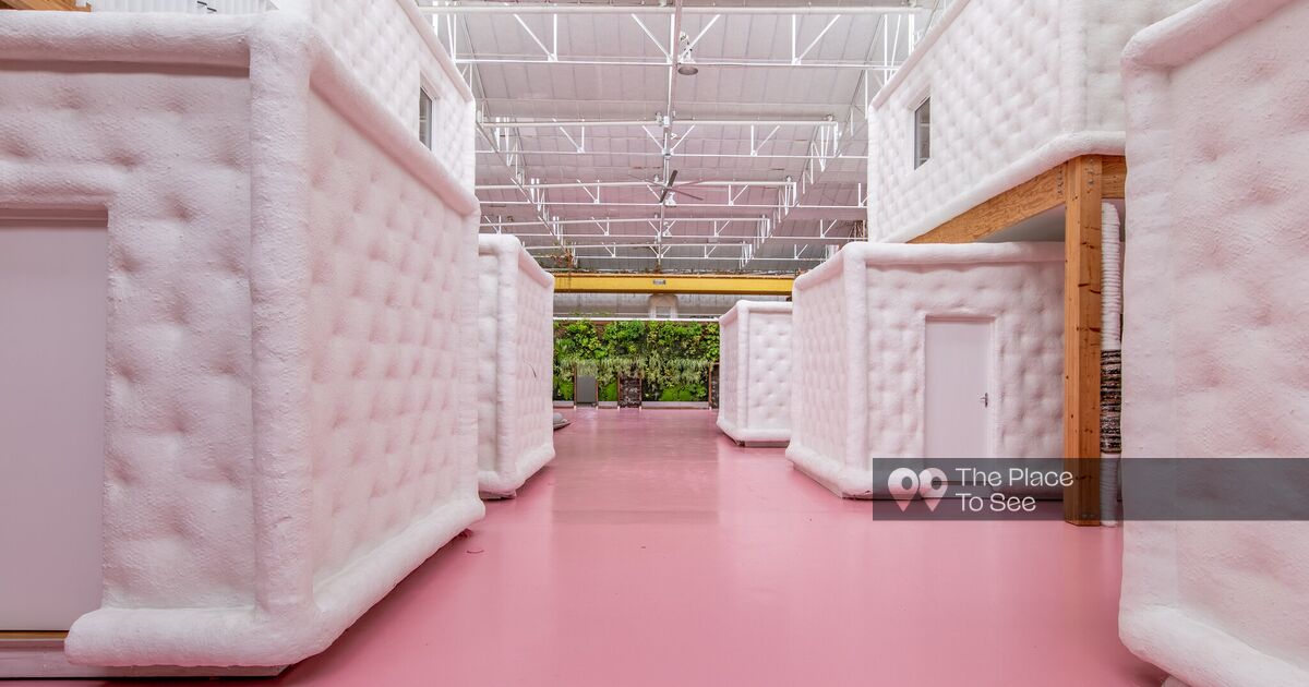 Pink industrial space with green wall | The place to see