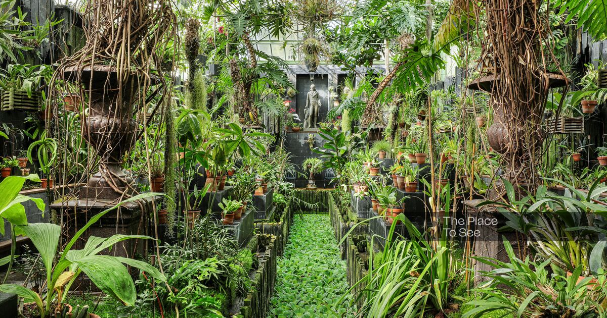 Exotic salons with greenhouses and ancient gardens | The place to see