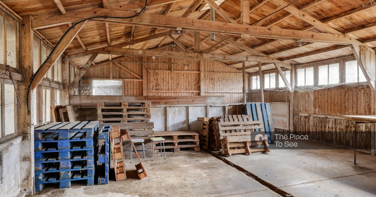 Raw timber barn with concrete flooring, offering a minimalist ...